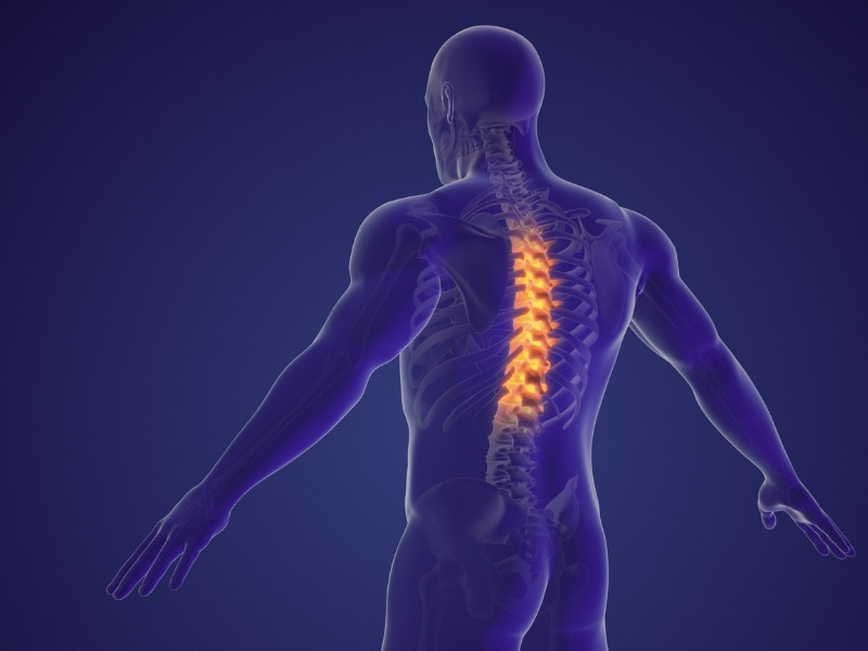 Omurga Kırıkları ve Kaymaları Tedavileri - Op. Dr. Fecri Çiftlik